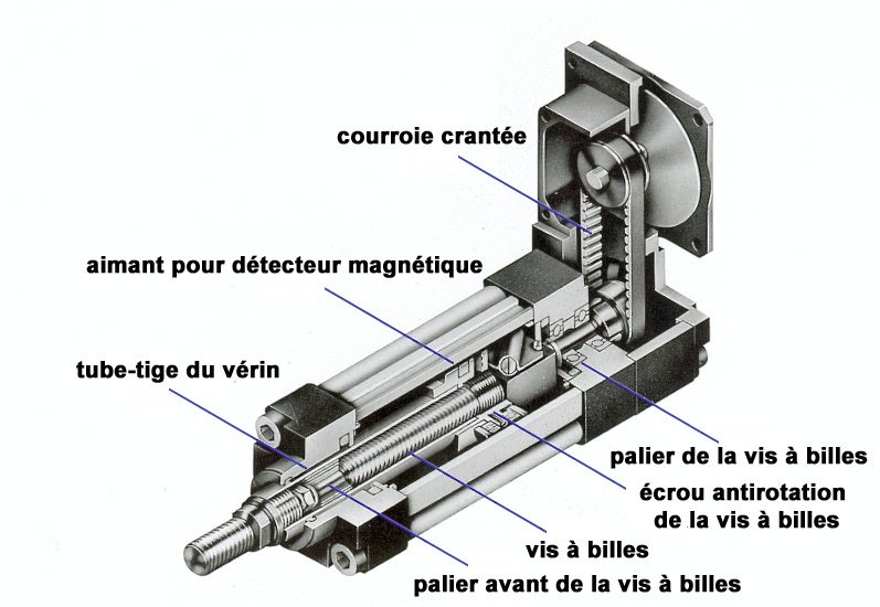 Comment choisir un vérin électrique linéaire pour votre maison | Fifi